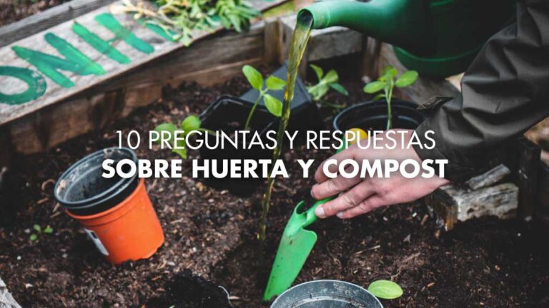 10 preguntas y respuestas sobre compost y huerta - MERAKI