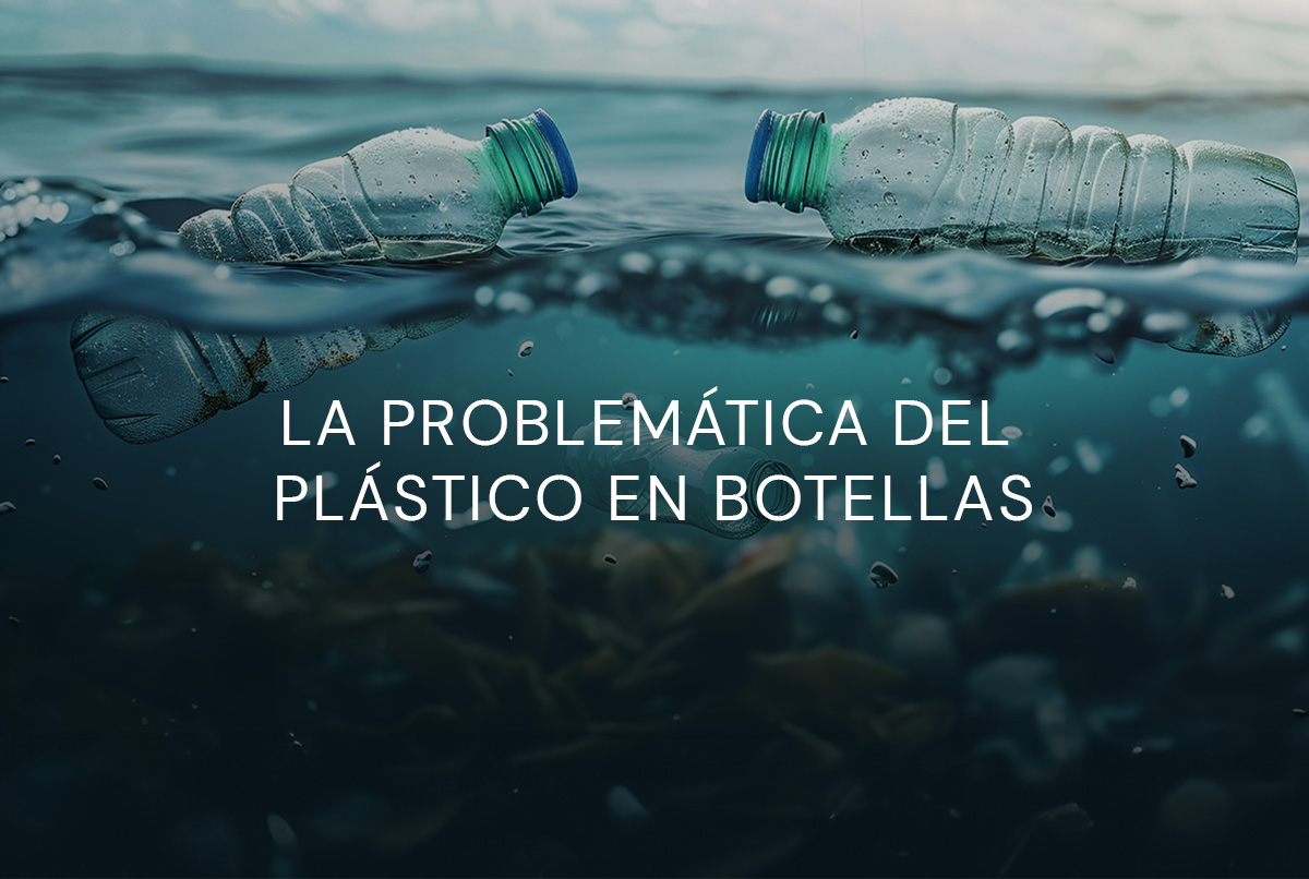 Botellas Plásticas ¿Qué está en juego y cómo podemos ayudar?